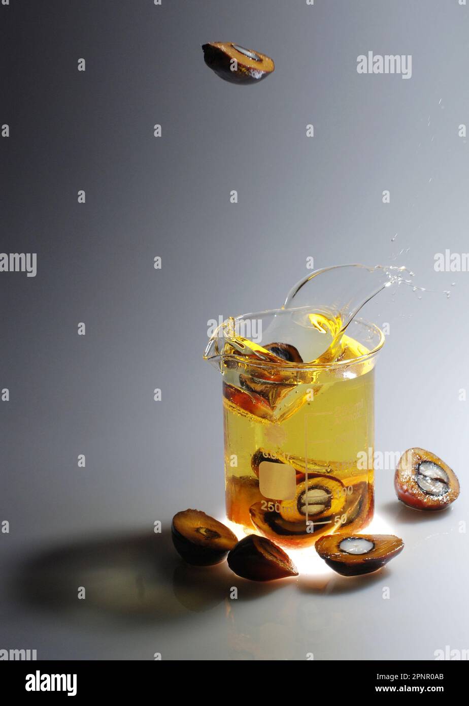 Halved palm seeds dropping into a beaker filled with yellow liquid in a ...