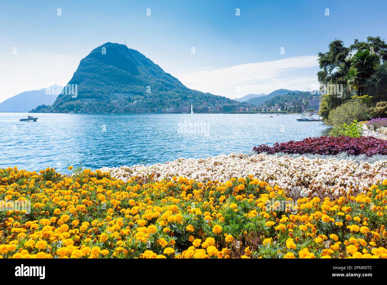 Spring flowers blooming on shore of Lake Lugano, Switzerland Stock ...