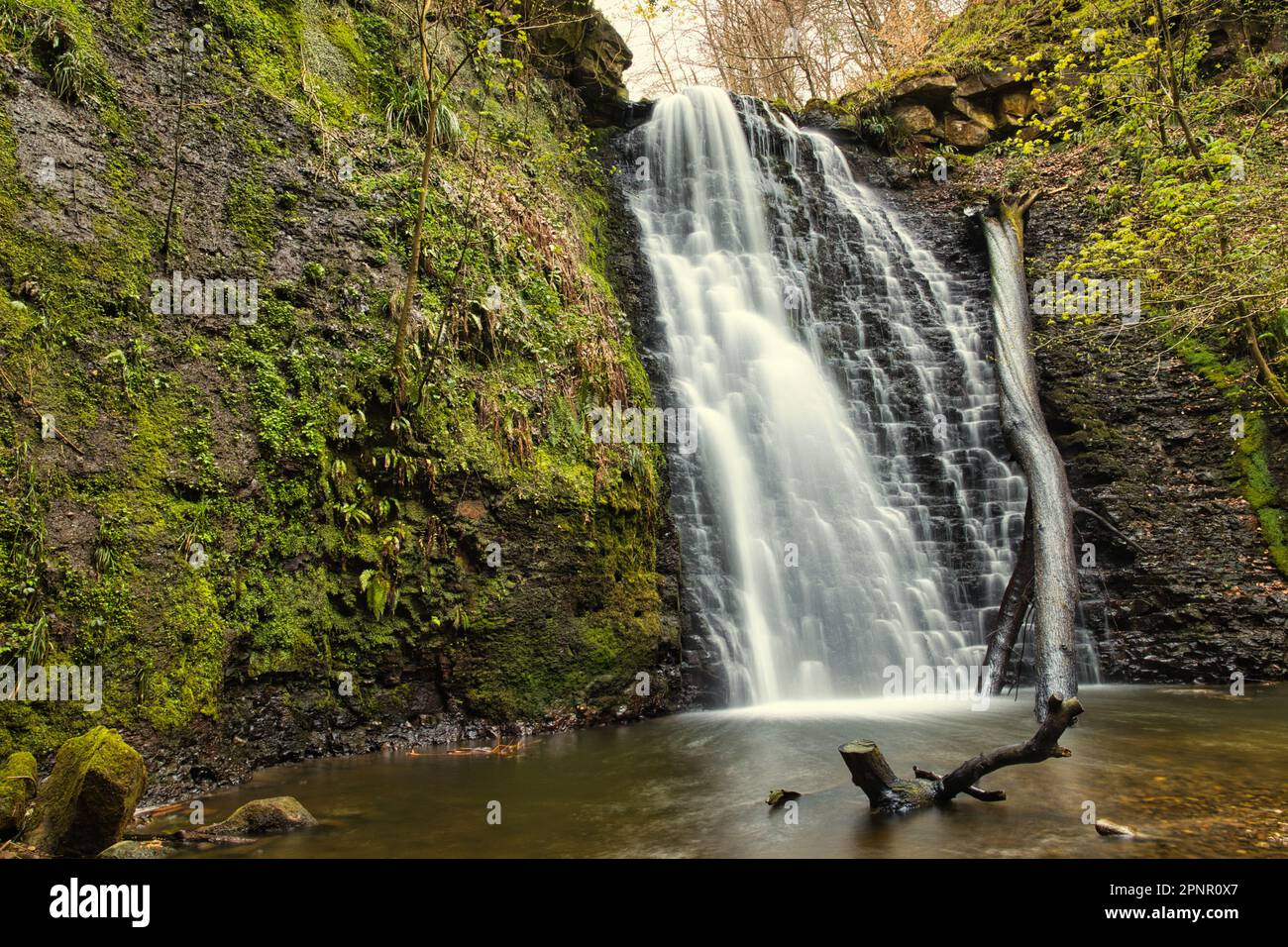 Falling Foss North Yorkshire Stock Photo - Alamy
