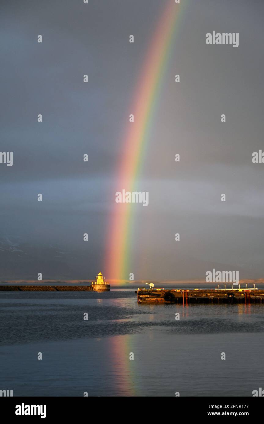 Rainbow in the old harbor of Reykjavik, Iceland Stock Photo - Alamy