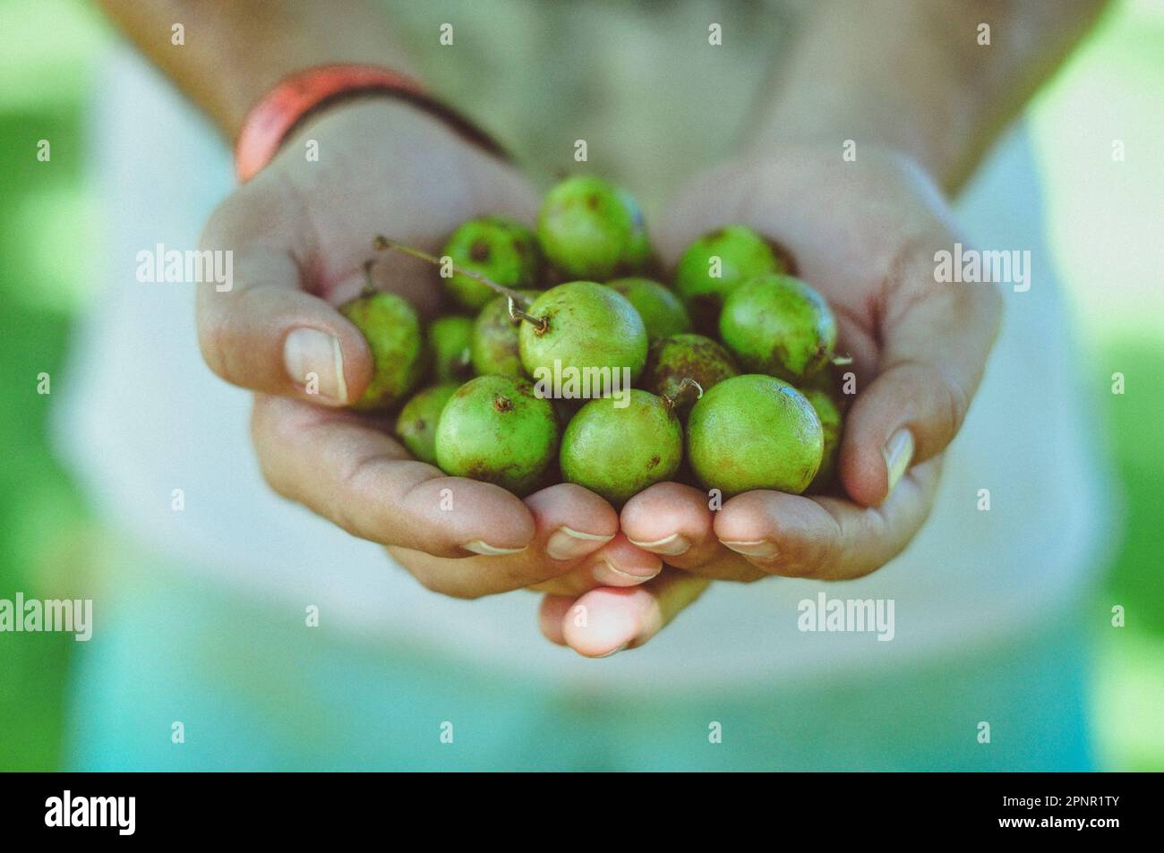 Jamaica fruit hi-res stock photography and images - Alamy