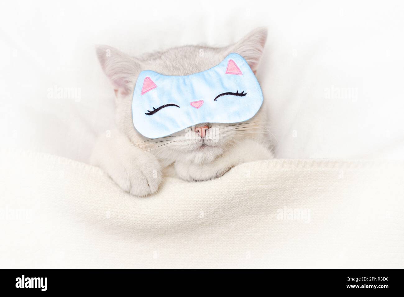 Cute white kitten sleeps in a blue sleep mask on a white bed Stock ...