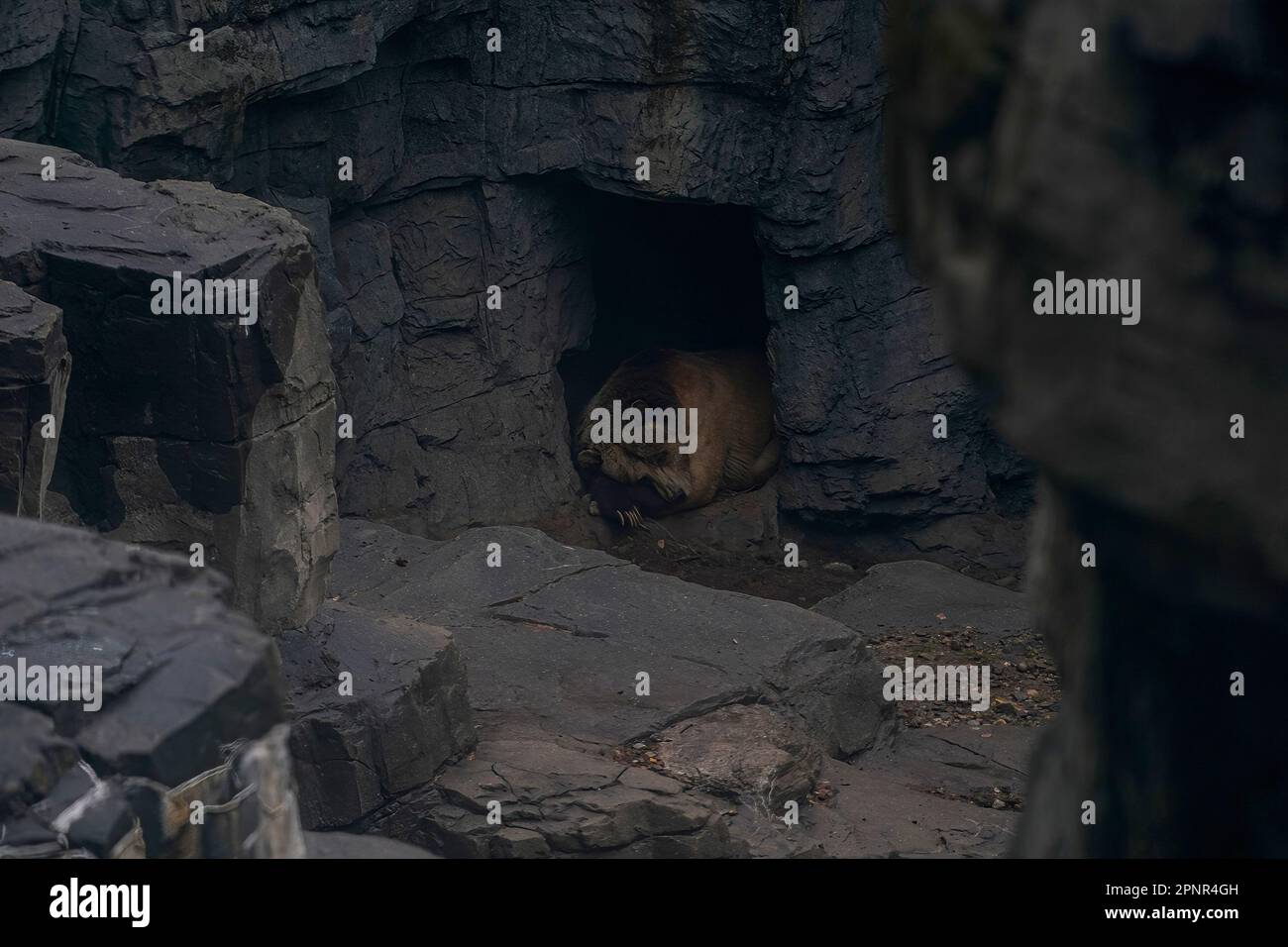 Bronze group central park hi-res stock photography and images - Alamy