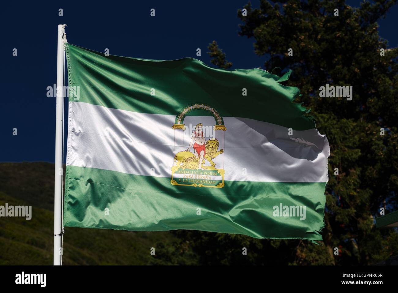 Andalusia flag with heracles andalusian ensign banner emblem streaming ...