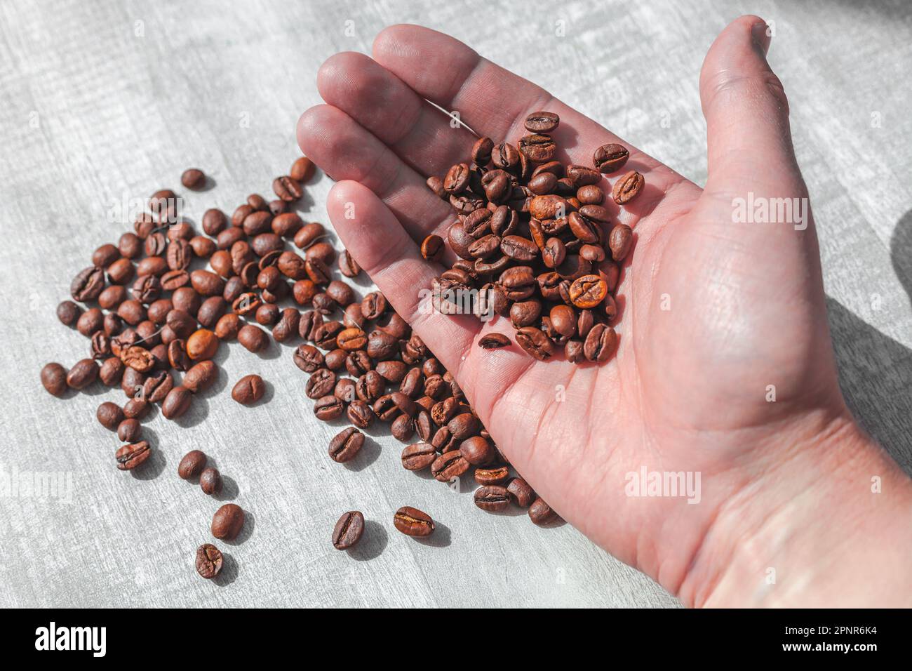 White french beans in hand hi-res stock photography and images - Alamy
