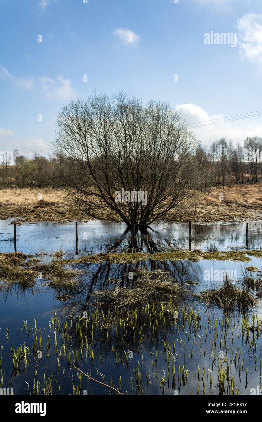 West Pennine Moors at Bull Hill, Darwen, Lancashire Stock Photo - Alamy