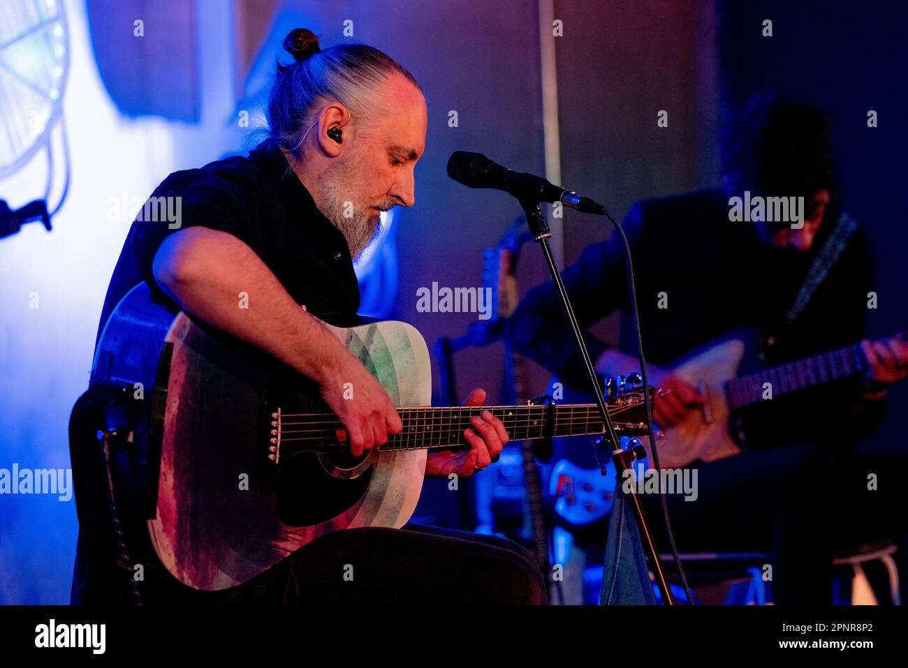 Fink milan hi-res stock photography and images - Alamy