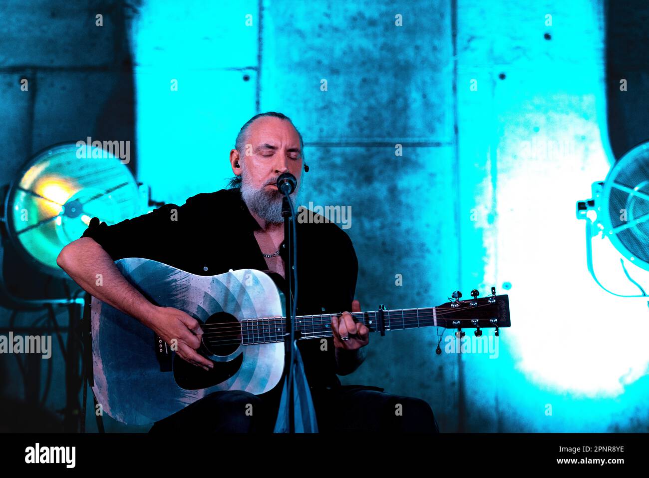 Fink milan hi-res stock photography and images - Alamy