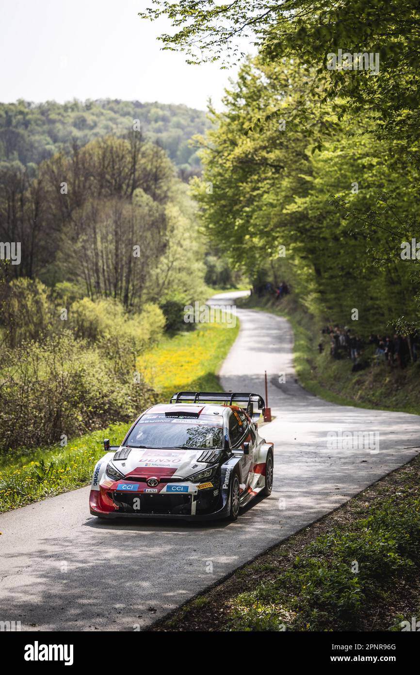 33 Elfyn EVANS (GBR), Scott MARTIN (GBR), TOYOTA GAZOO RACING WRT, TOYOTA GR Yaris Rally1 Hybrid ...