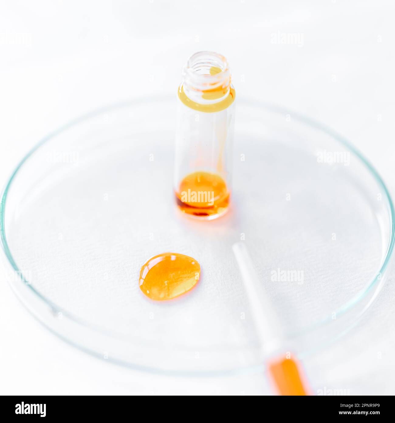 chemical sample in a research laboratory on a Petri glass dish Stock ...