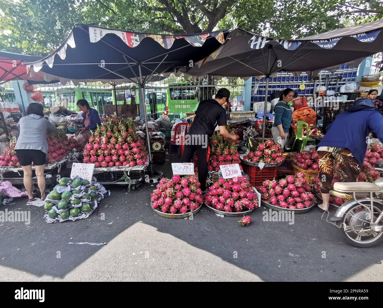 05 March 2023, Vietnam, Ho-Chi-Minh-Stadt: Dragon fruits lie for sale ...