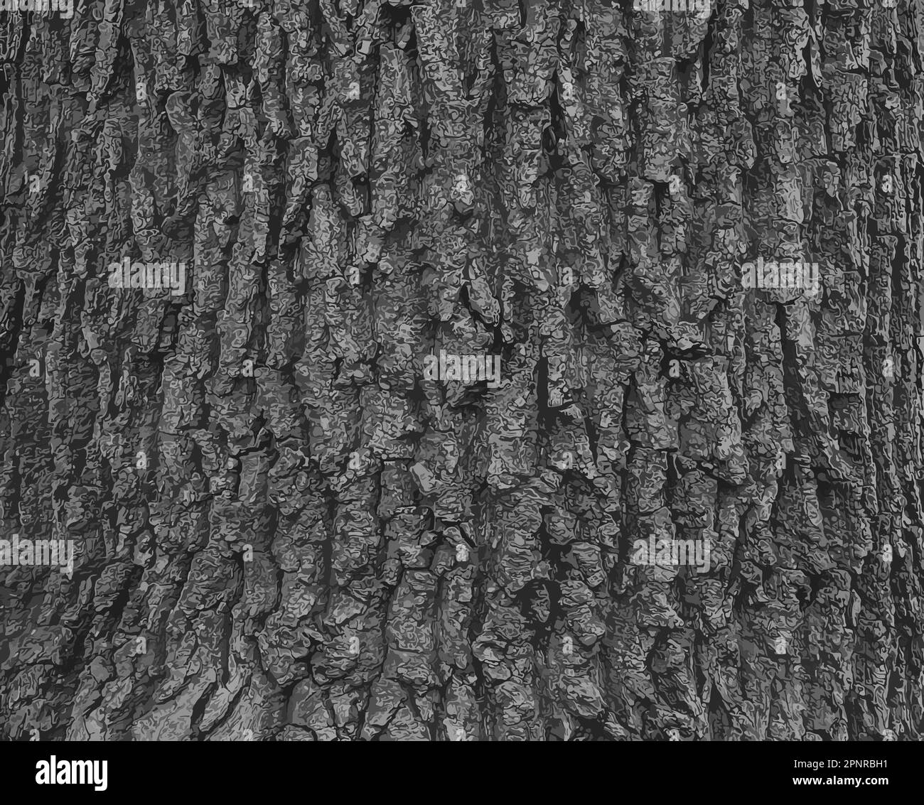 Acer bark pattern Black and White Stock Photos & Images - Alamy