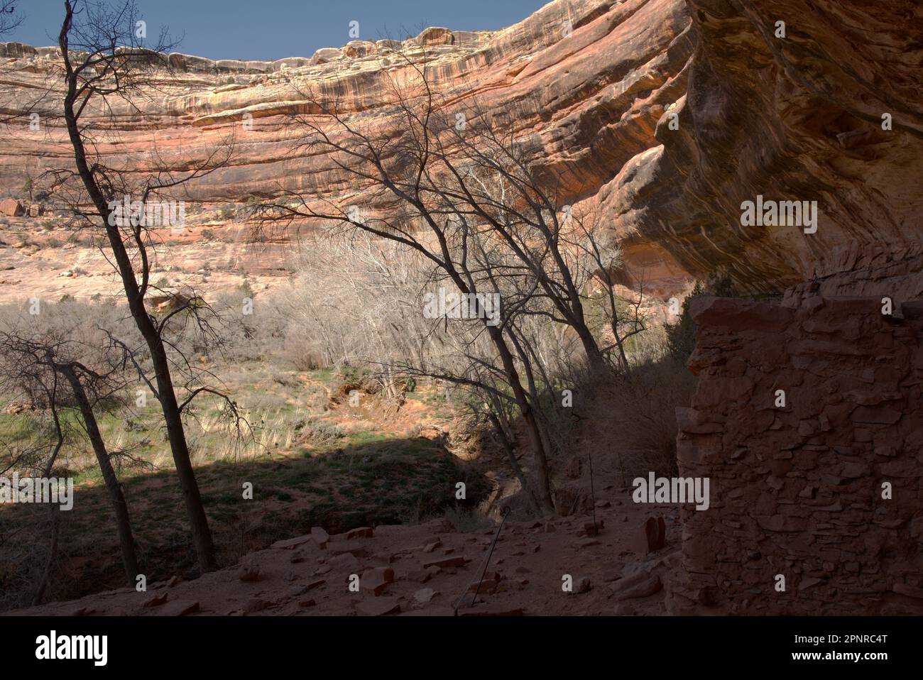 Remnants of small structures left behind by prehistoric Native ...