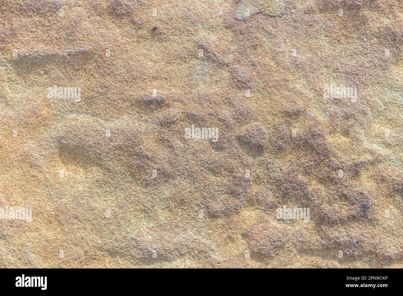 Background natural texture sea stone Stock Photo - Alamy