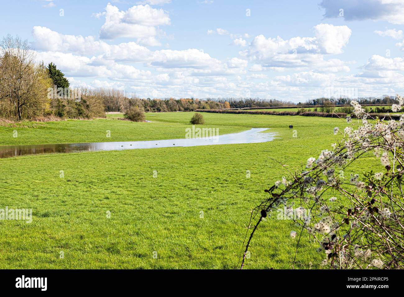 The Thames Path long distance walking trail beside the infant River ...