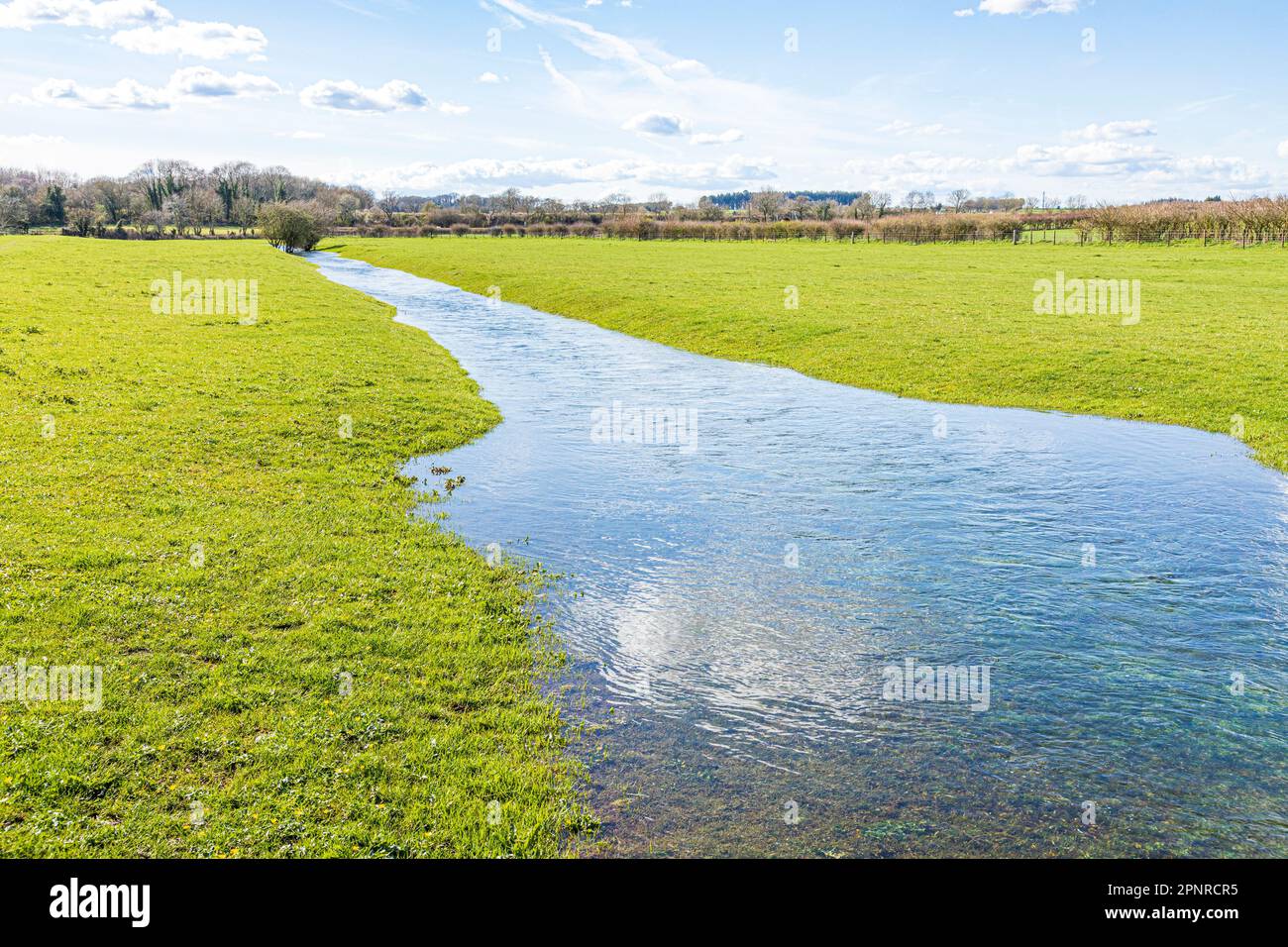 An intermittent tributary to the infant River Thames 2 km from its ...