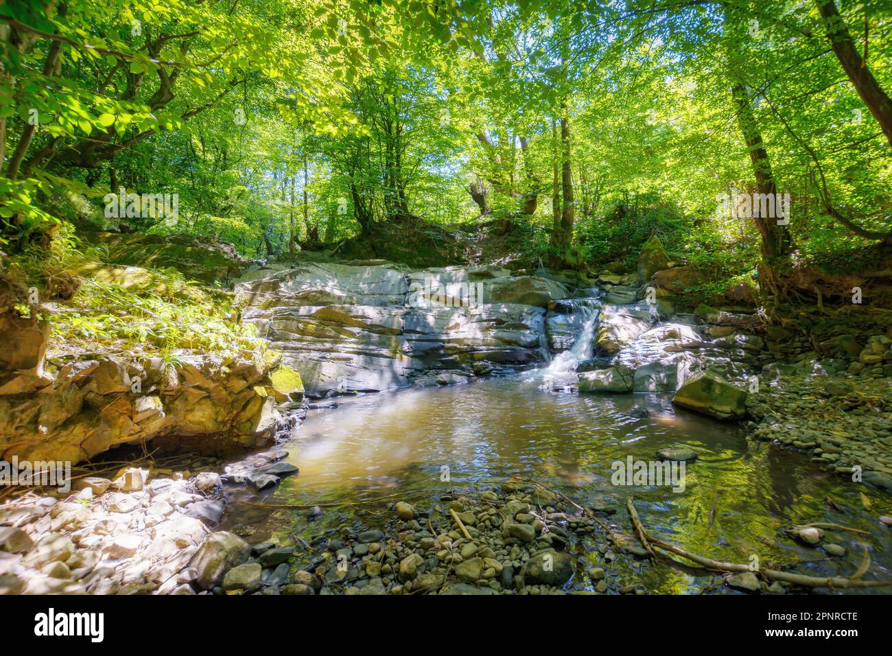moss covered rocks in the creek. outdoor nature scenery of carpathian ...