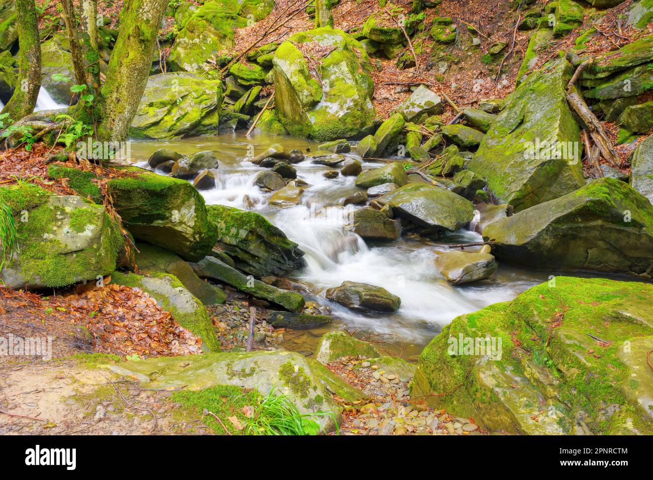 Moss brook hi-res stock photography and images - Alamy