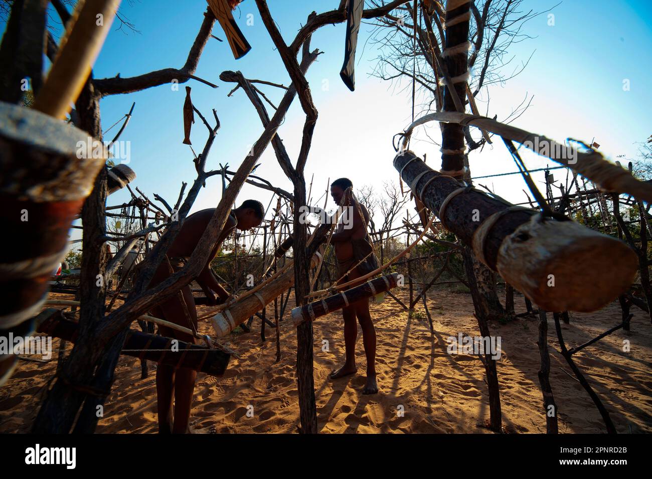 Ju/'Hoansi or San bushmen hunter, one of the rarest tribe in Africa at ...