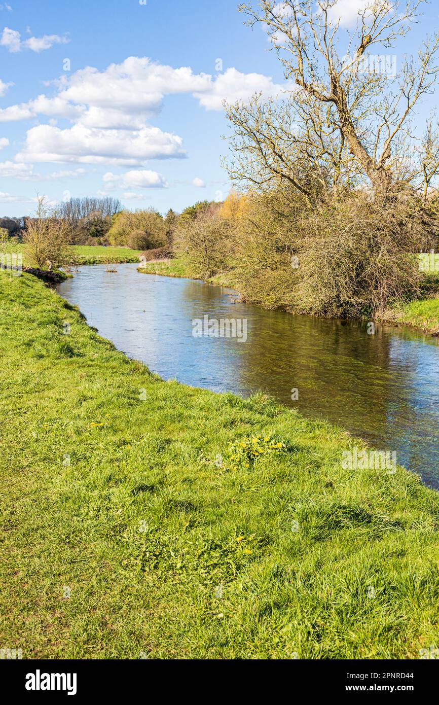 The Thames Path National Trail beside the infant River Thames 2 km from ...