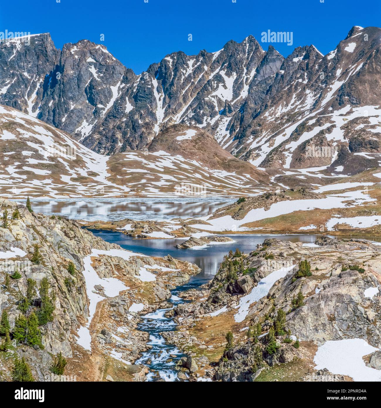 wolf and sawtooth mountains above goose lake in the beartooth range ...