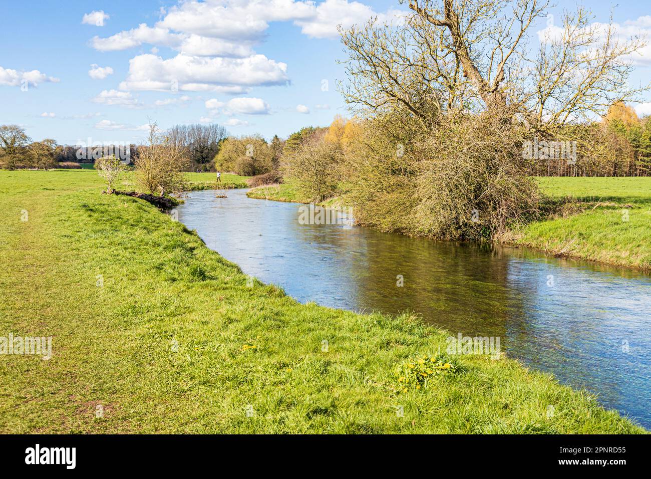 The Thames Path National Trail beside the infant River Thames 2 km from ...
