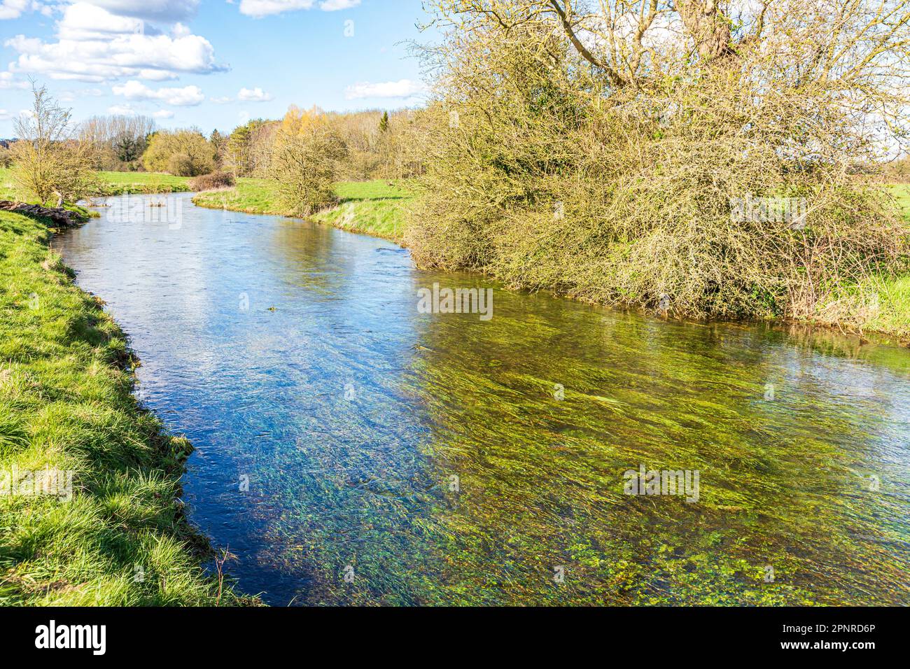 The Thames Path National Trail beside the infant River Thames 2 km from ...
