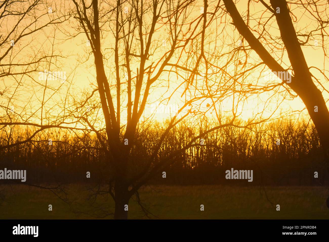 The sun sets over a farm in rural Missouri, making a beautiful ending ...