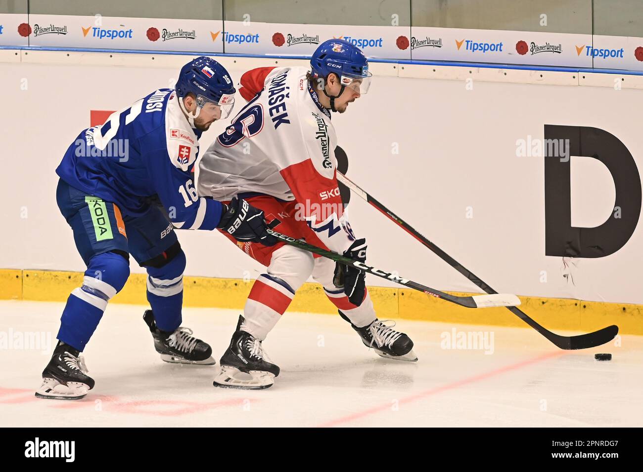 Tomasek david hi-res stock photography and images - Alamy