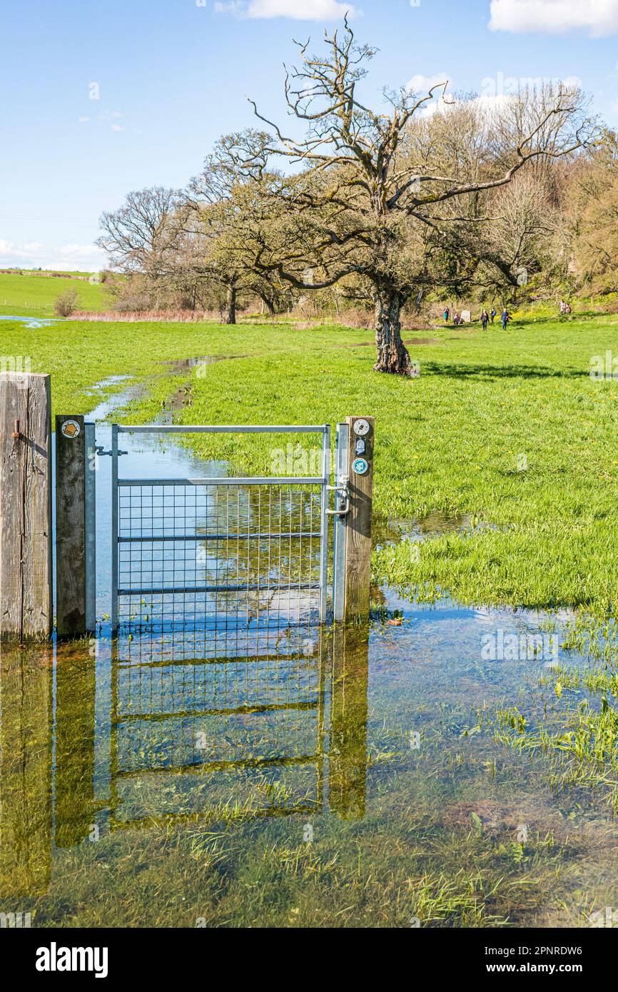 A gate on the Thames Path National Trail under water near the source of ...