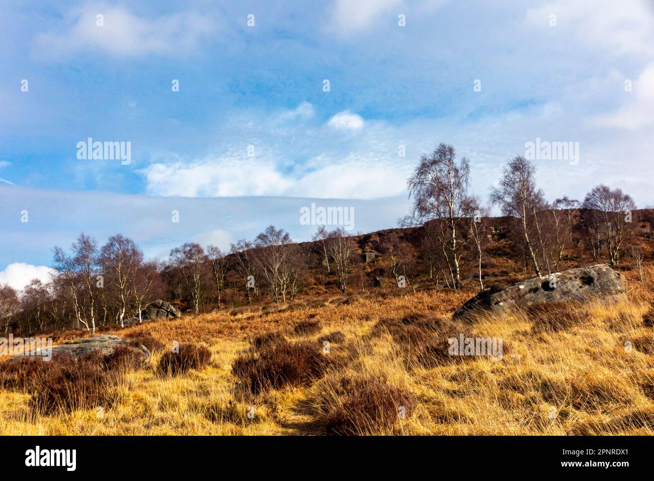 Winter view with rocks and trees at Birchen Edge near Baslow in the ...