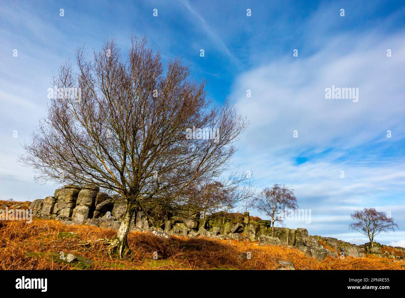 Winter view with rocks and trees at Gardom's Edge near Baslow in the Peak District National Park ...