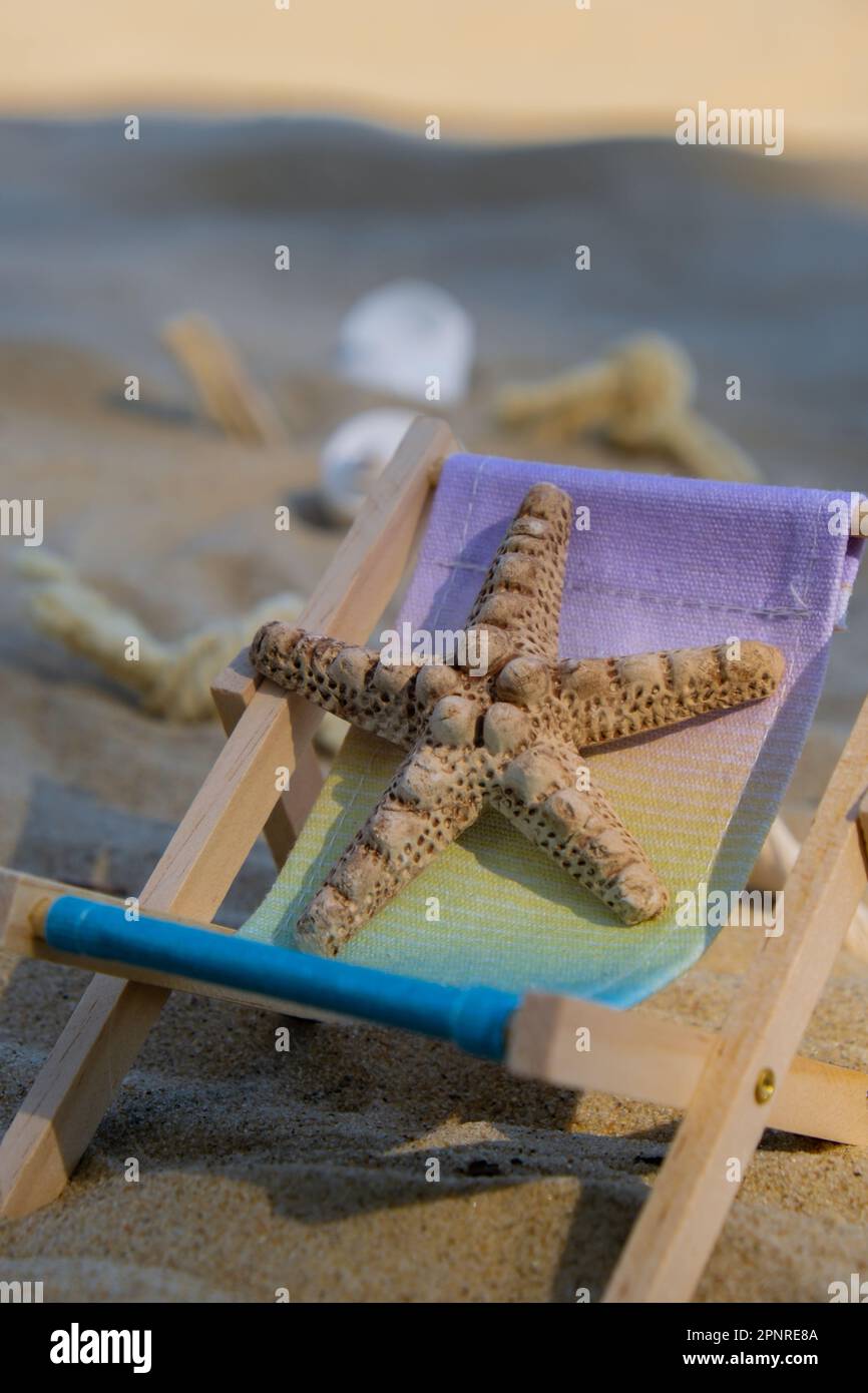 Sunny holidays on the beach with sand beach accessories with sea shells ...