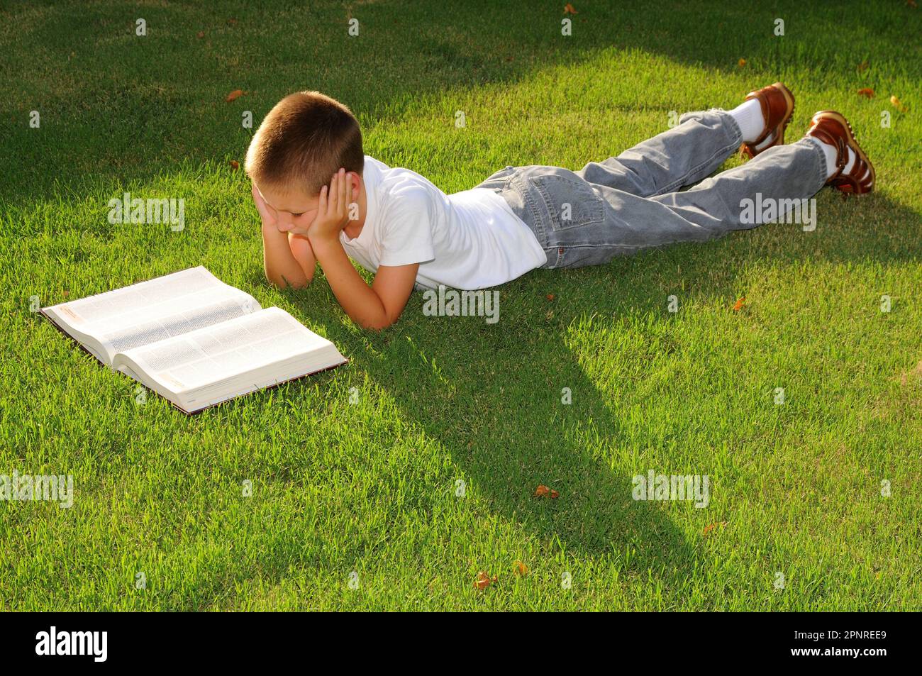 Young boy outdoors on the grass reading a book Stock Photo - Alamy