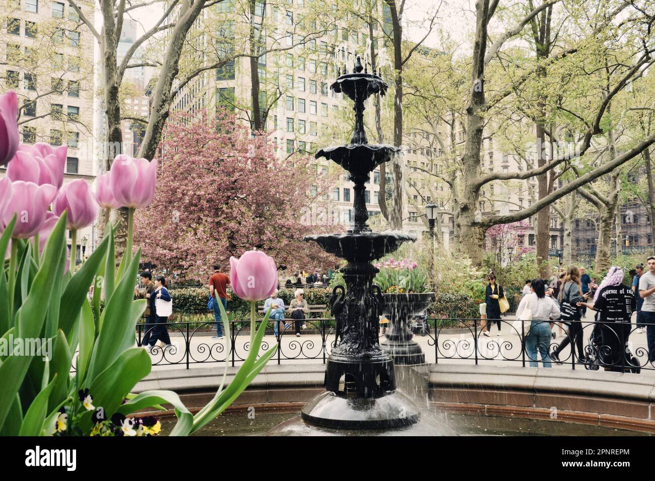 Madison Square Park in springtime is a delightful oasis in Manhattan ...