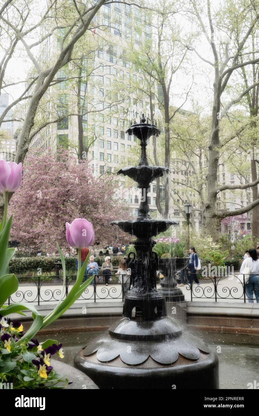 Madison Square Park in springtime is a delightful oasis in Manhattan ...