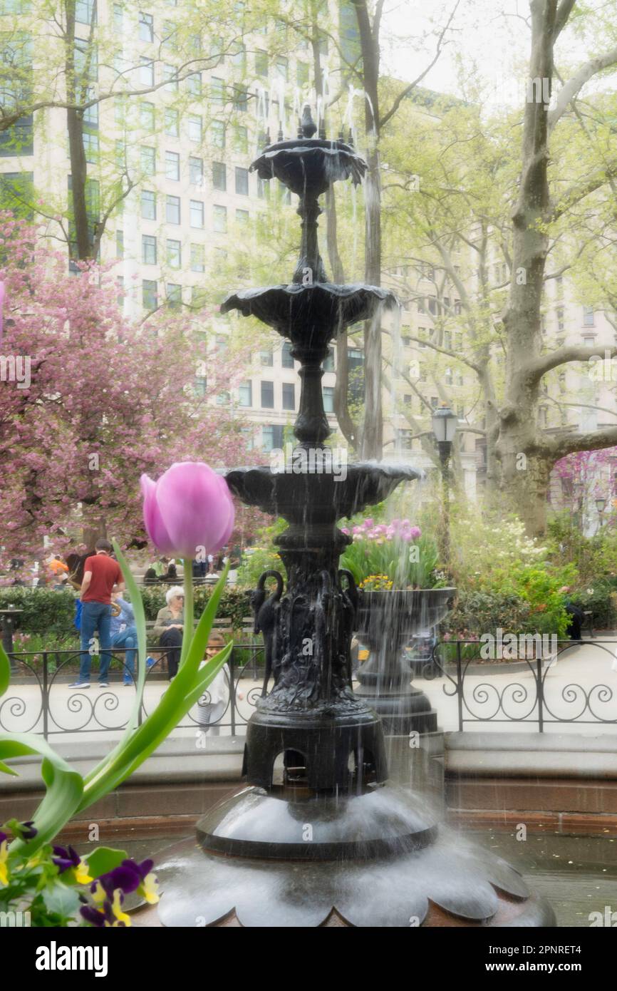 Madison Square Park in springtime is a delightful oasis in Manhattan ...