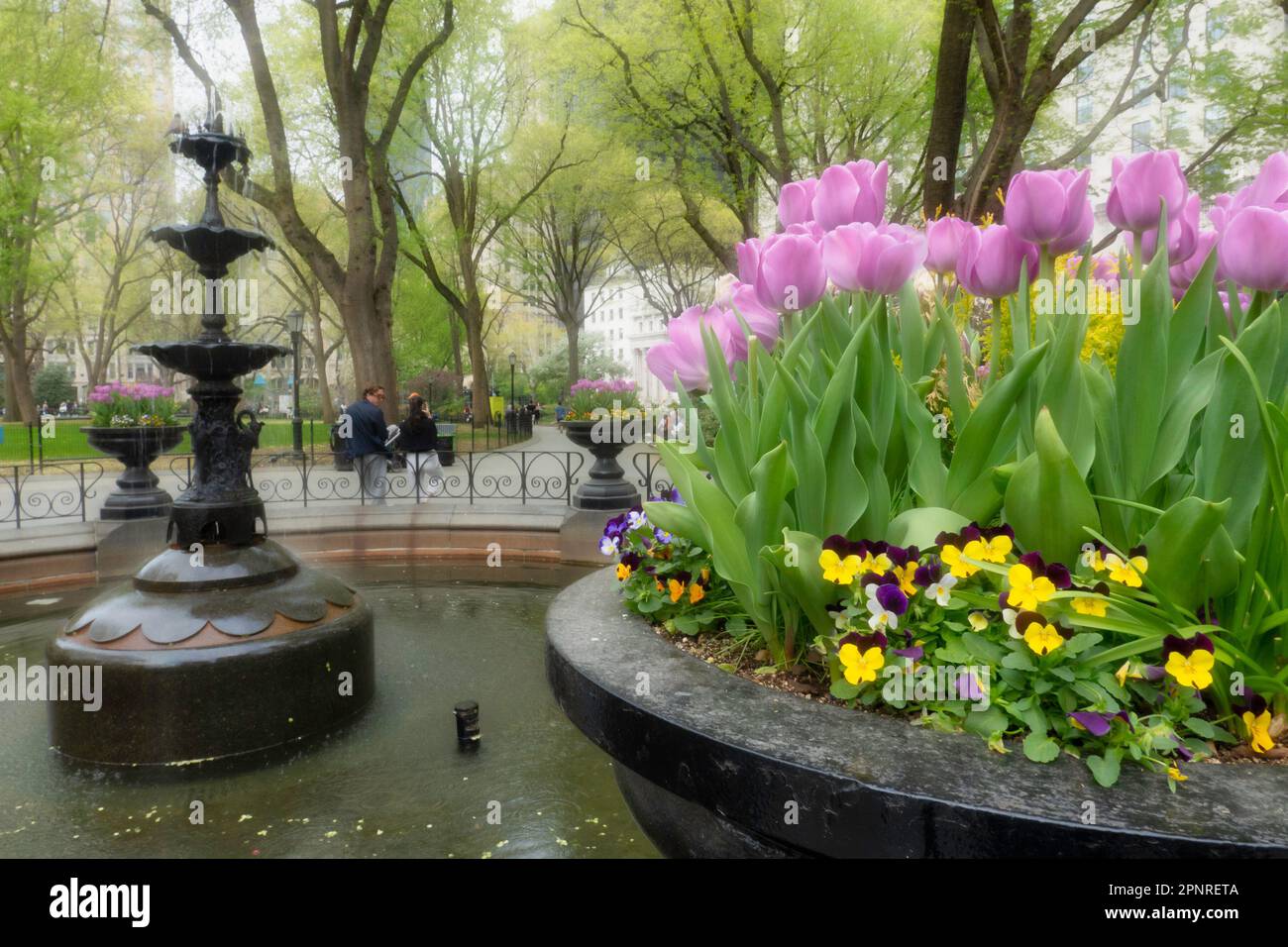 Madison Square Park in springtime is a delightful oasis in Manhattan ...