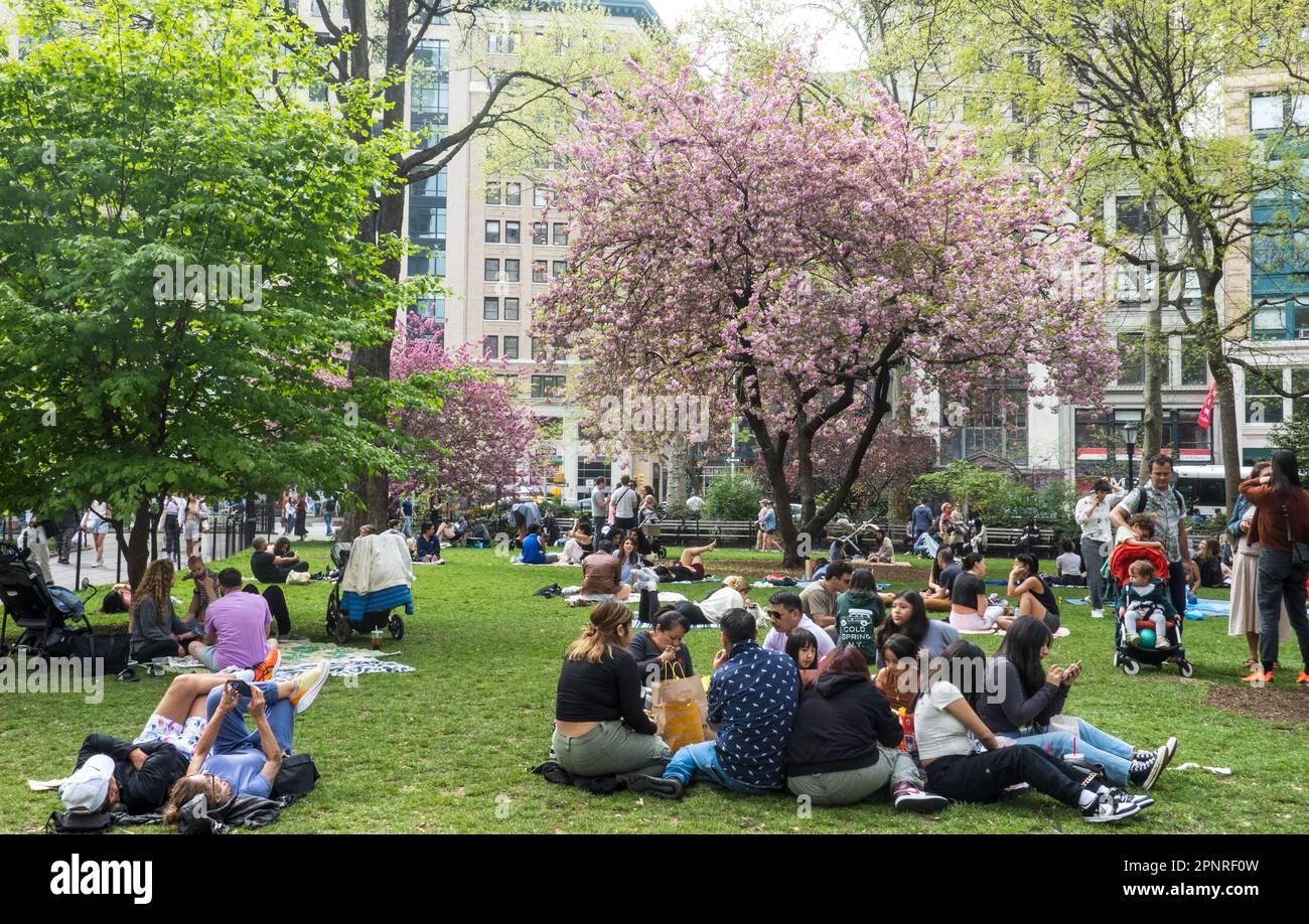 Madison Square Park in springtime is a delightful oasis in Manhattan ...