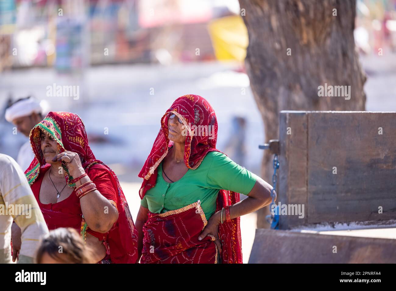 Pushkar, Rajasthan, India - Nov 2022: Pushkar fair, Portrait of woman from rajasthan in colorful ...