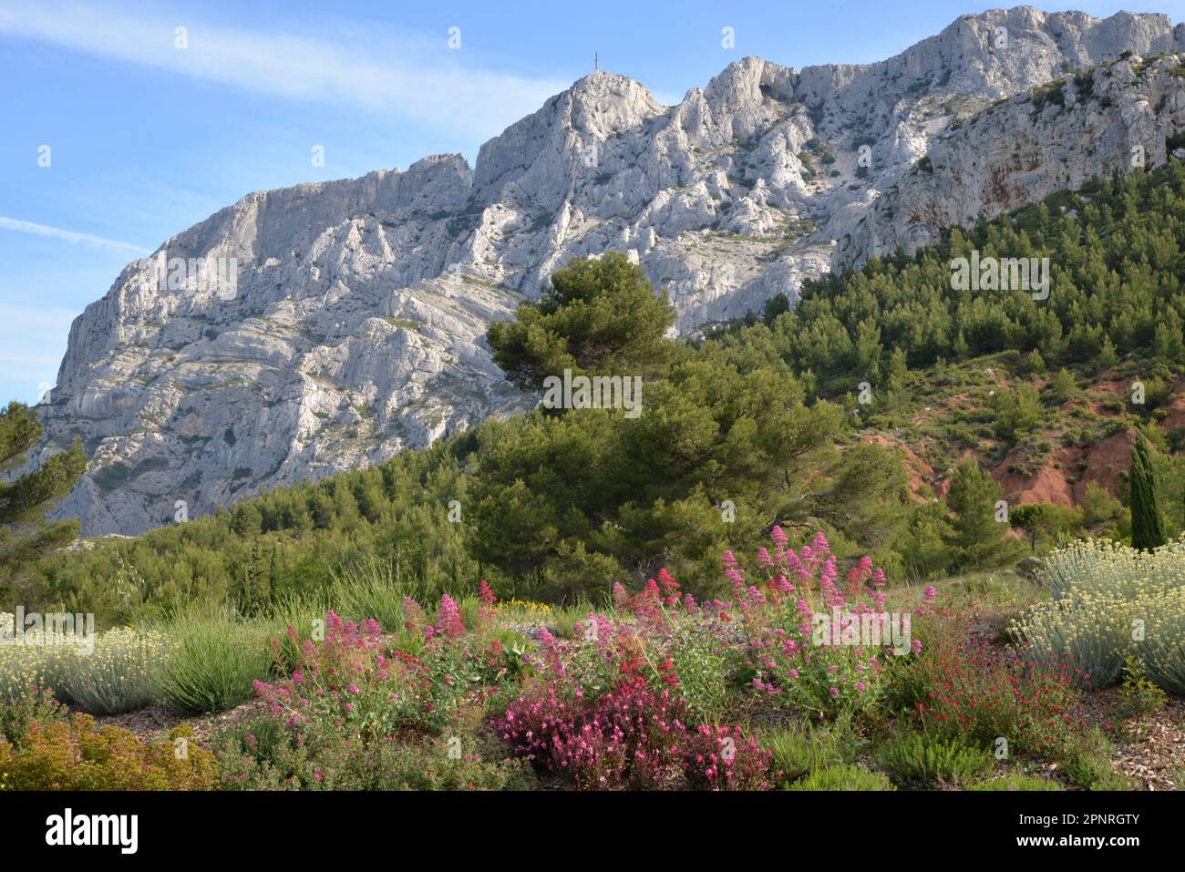 The Ste Victoire mountain in spring Provence Stock Photo - Alamy