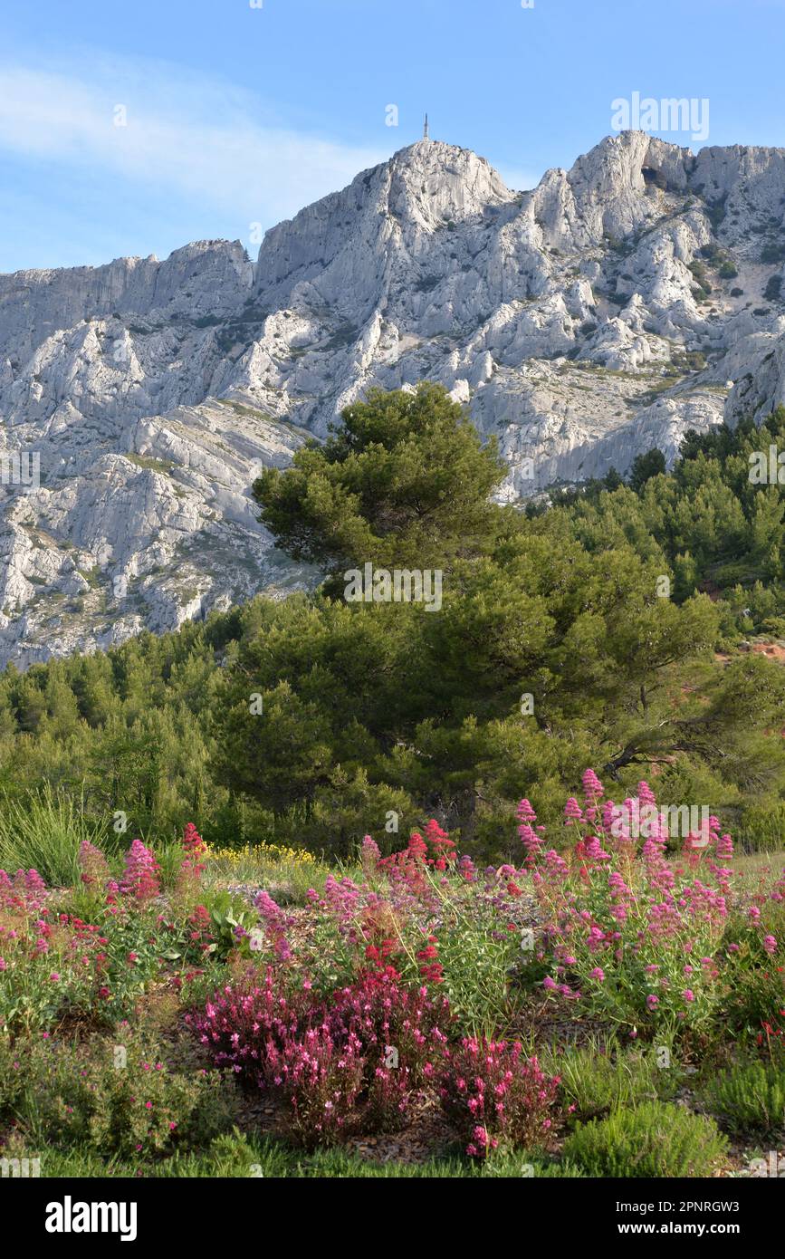 The Ste Victoire mountain in spring Provence Stock Photo - Alamy