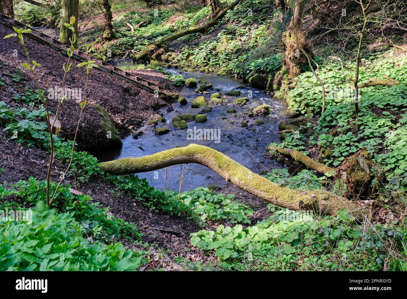 Quiet dell hi-res stock photography and images - Alamy