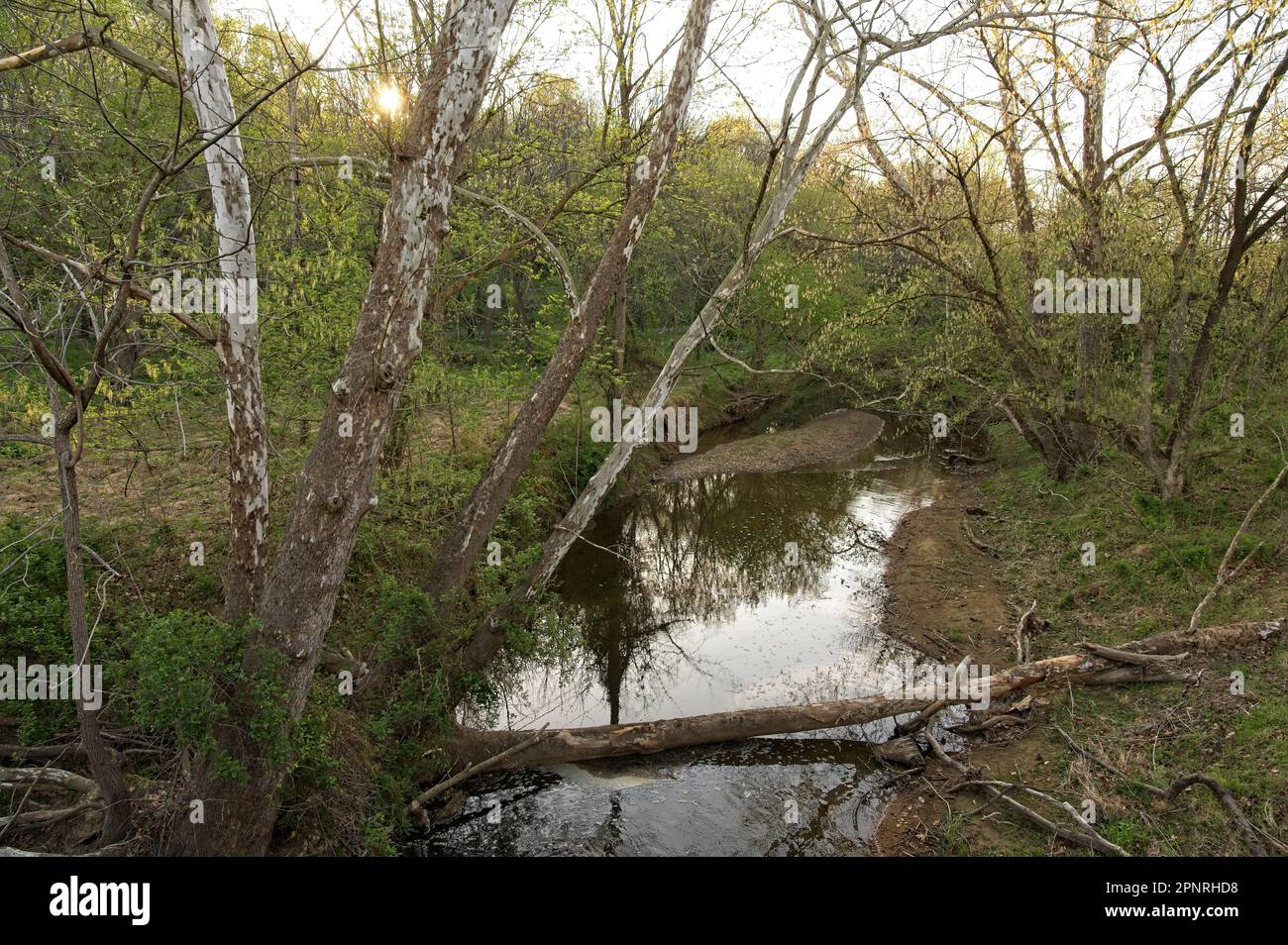 United States: April, 15 2023: The Goose Creek flows towards the ...