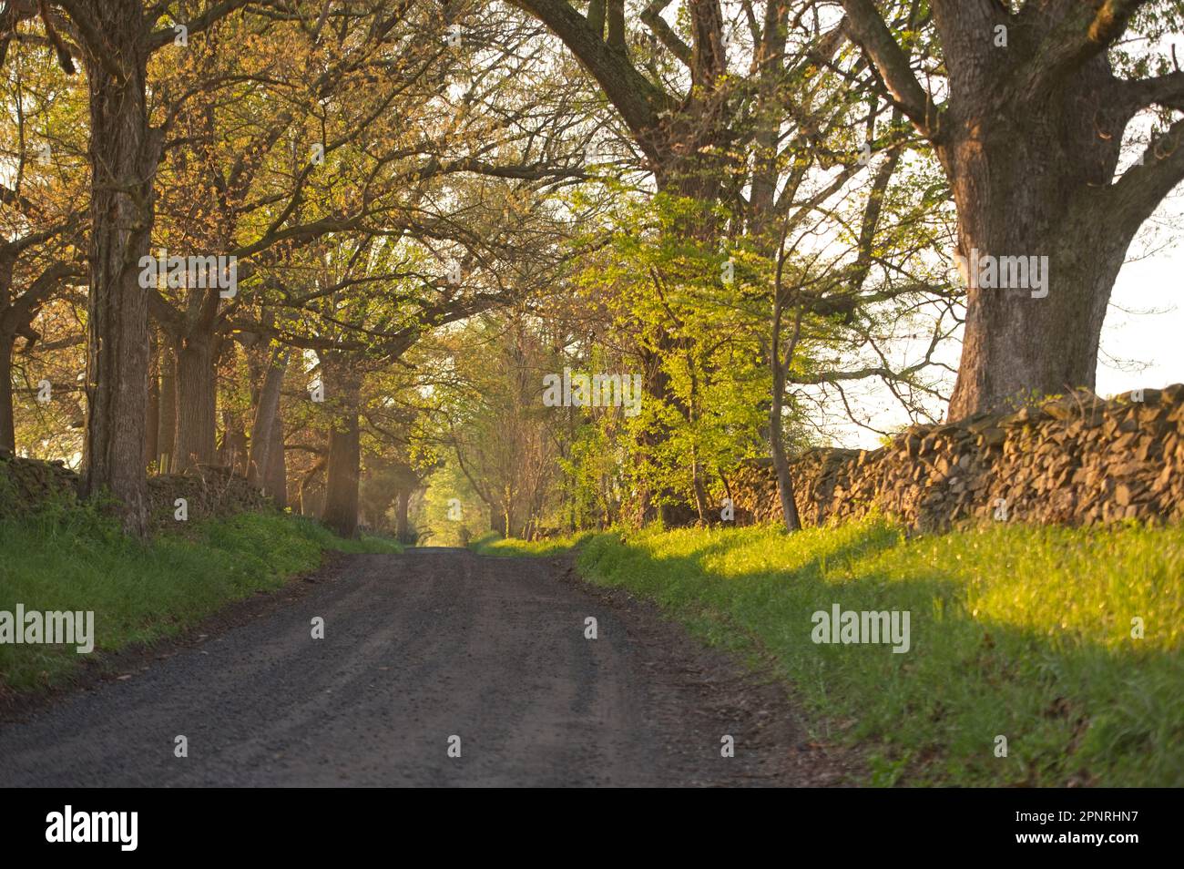 United States: April, 15 2023: Sunrise along Millville Road near the ...