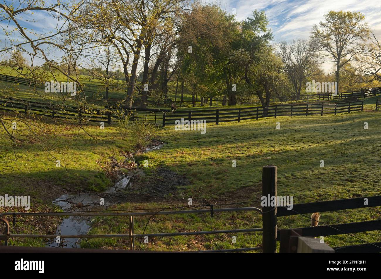 United States: April, 15 2023: Pasture along Foundry Road near Lincoln ...