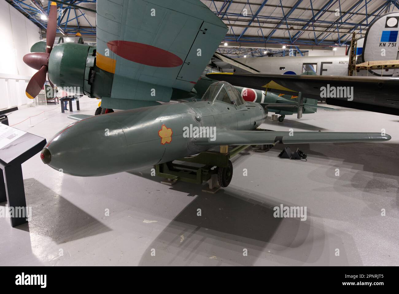 Yokosuka MXY7 Ohka "Cherry Blossom" suicide attack aircraft Stock Photo ...
