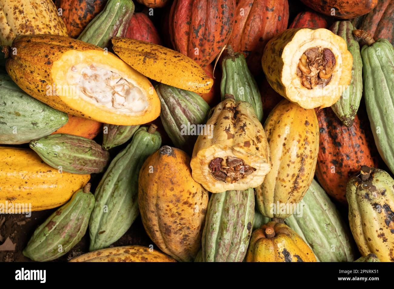 Ripe for harvest hi-res stock photography and images - Alamy