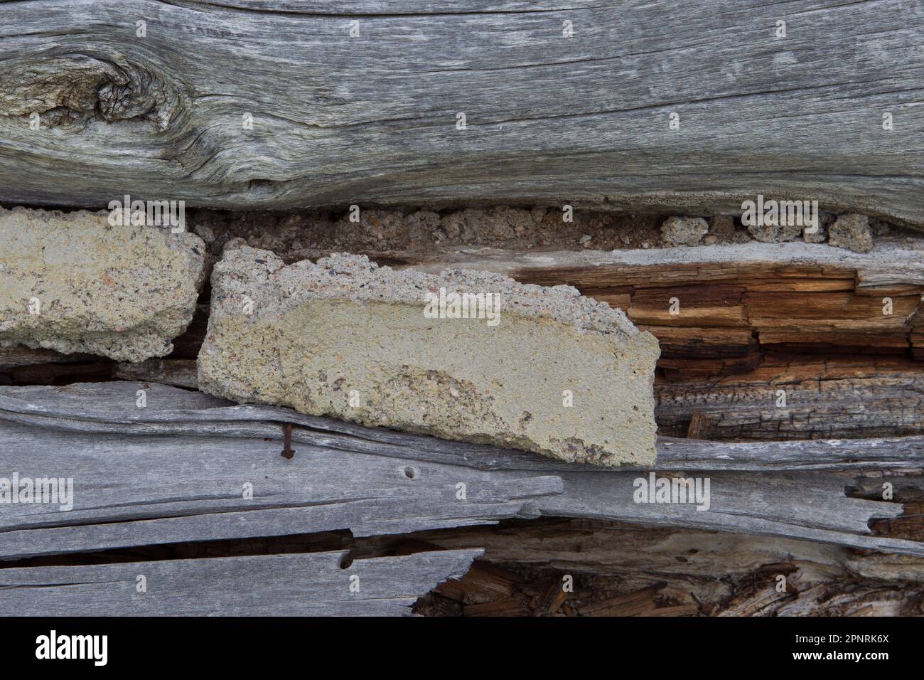 Broken mortar chinking clings to rotting logs in a deteriorating ...