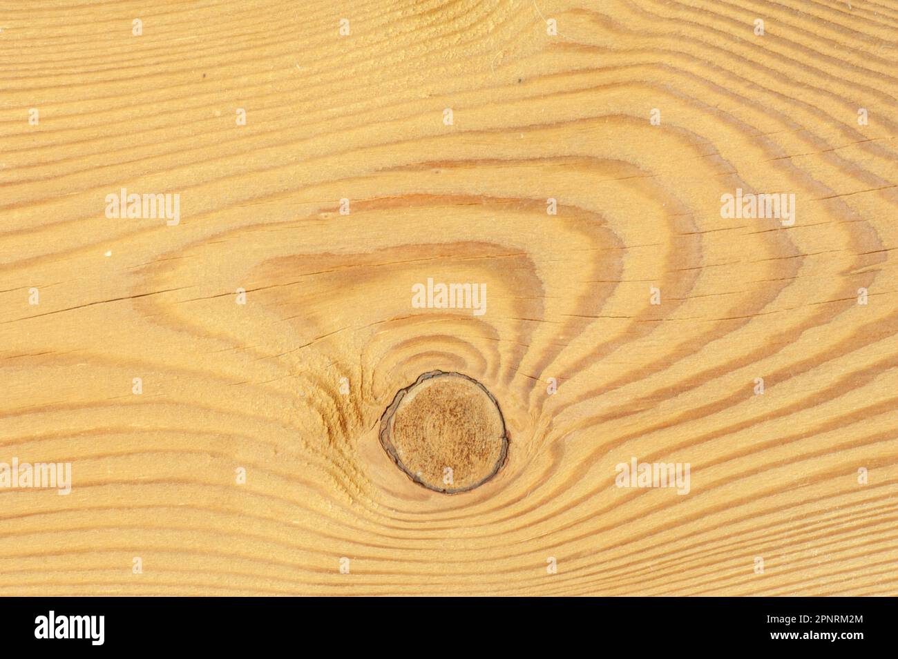 pine wood board natural texture detail Stock Photo - Alamy